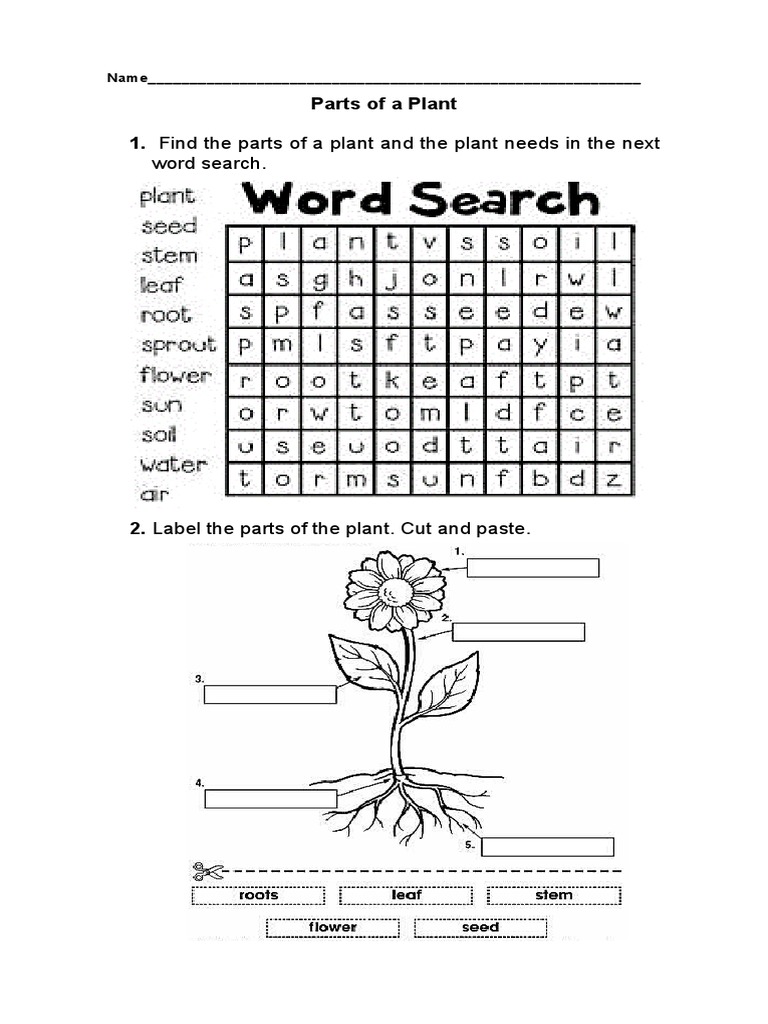 Word Search.: Parts of A Plant 1. Find The Parts of A Plant and The ...