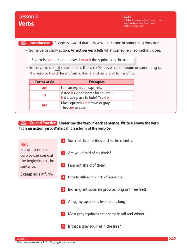 ELA 3L Unit 1 Lesson 3 - Verbs | PDF | Morphology | Linguistic Morphology