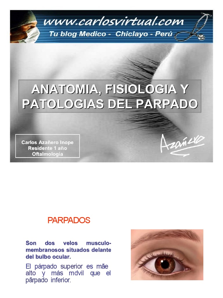 Anatomía y Enfermedades del Párpado | PDF | Ojo humano | Anatomía