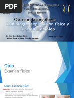 Otoscopia Normal | PDF | Oído | Anatomía