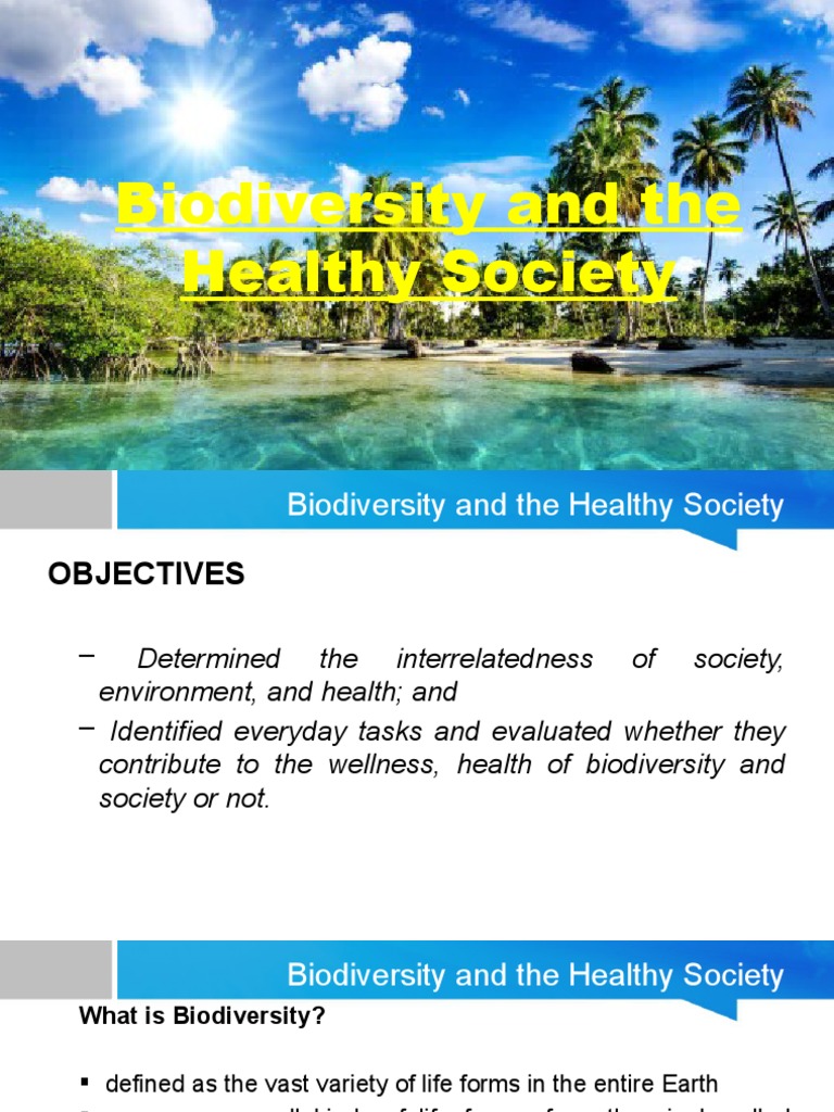Biodiversity's Role in Human Health | PDF | Biodiversity | Ecosystem