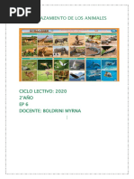 Alimentación y Dietas Animales | PDF | Aves | Diente