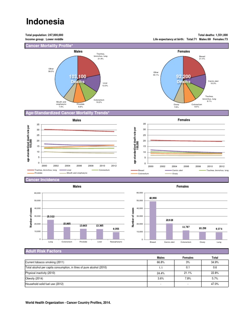 Indonesia Cancer Statistics Overview | PDF | Preventive Healthcare | Cancer