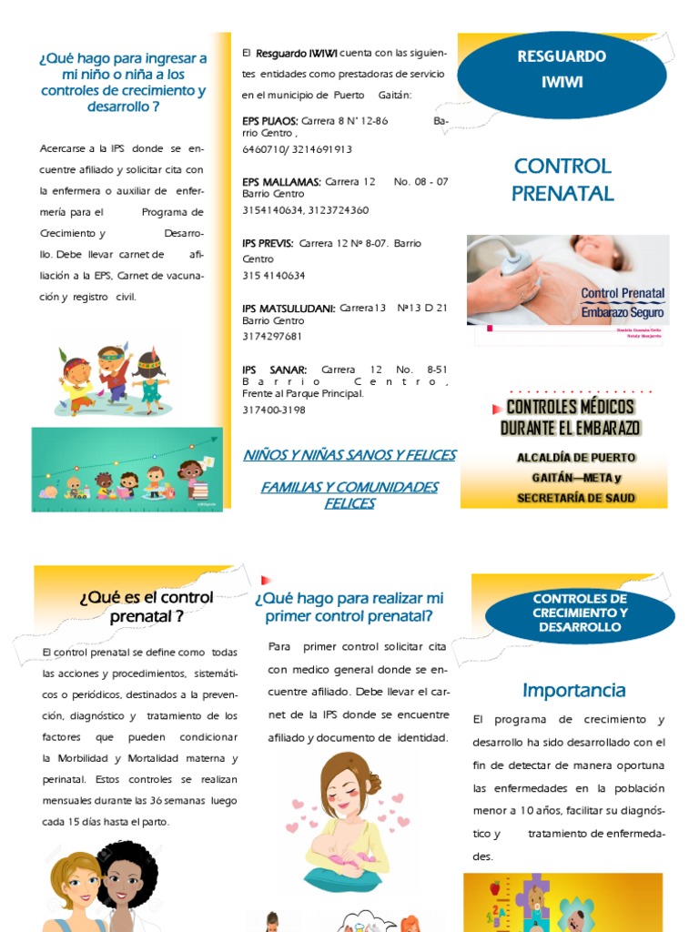Folleto Controles Resguardo Iwiwi | PDF | Cuidado de la salud ...