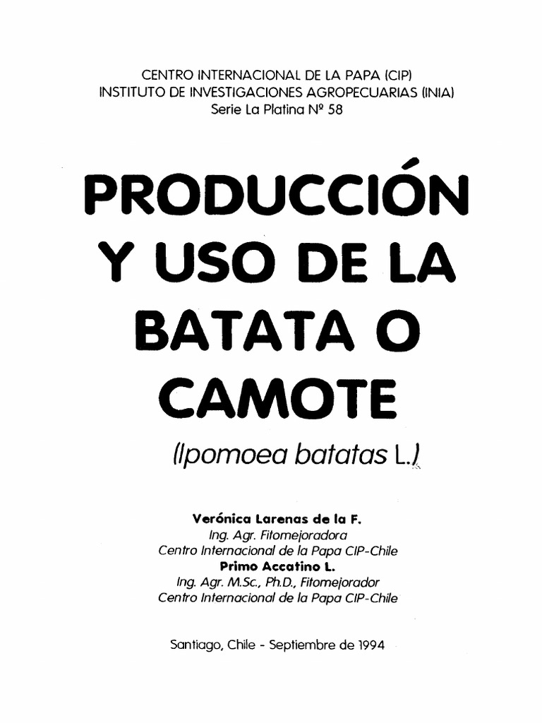 Convertir Camote | PDF