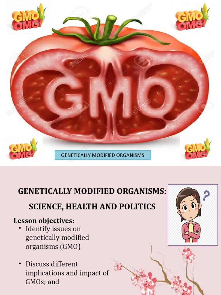 STS Powerpoint Group 1 | PDF | Genetically Modified Organism | Genetic Engineering