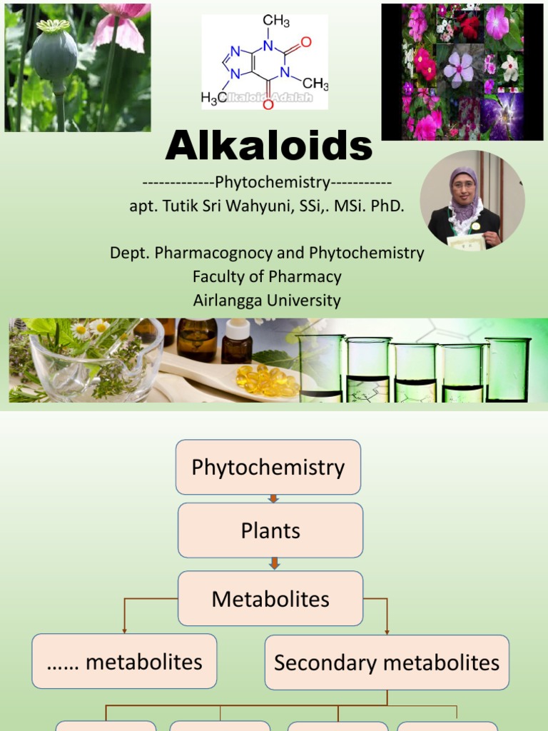 Alkaloids: A Comprehensive Guide | PDF | Alkaloid | Salt (Chemistry)