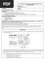 Cuaderno de Tareas Prekinder | PDF | Comprensión lectora | Cognición