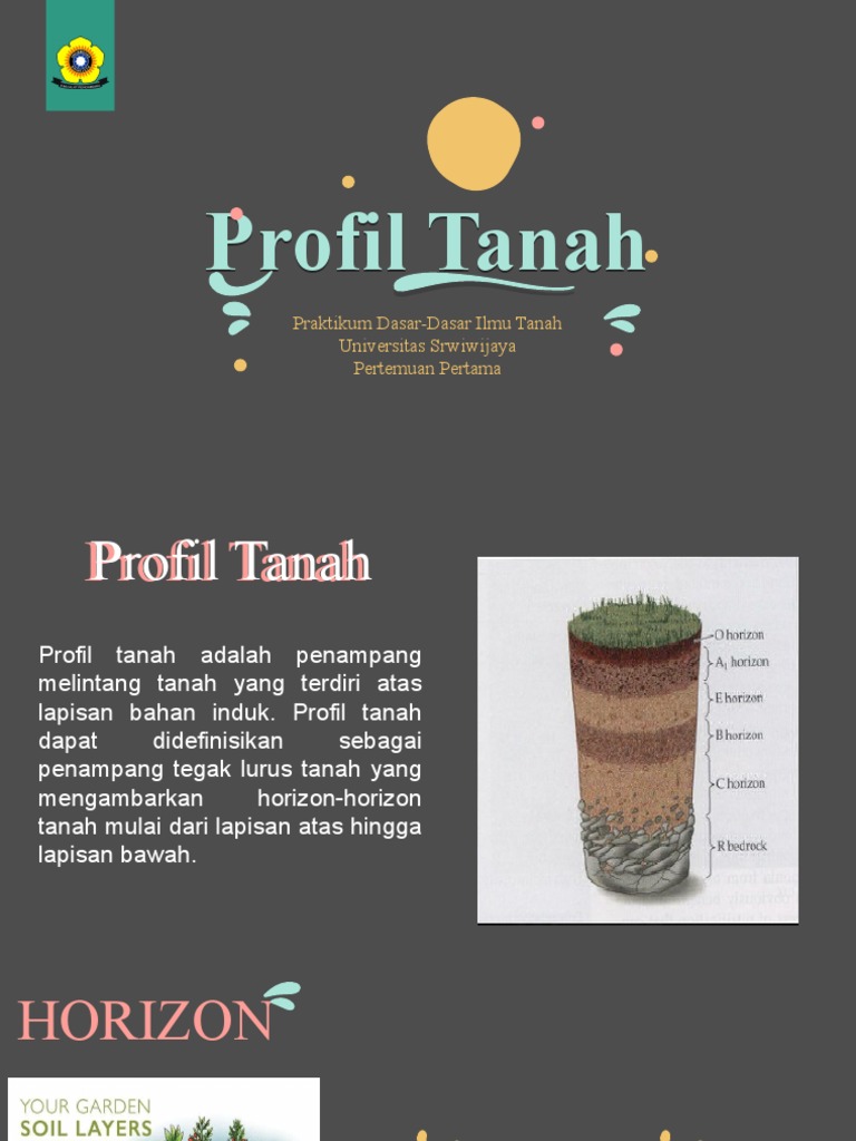 Profil Tanah