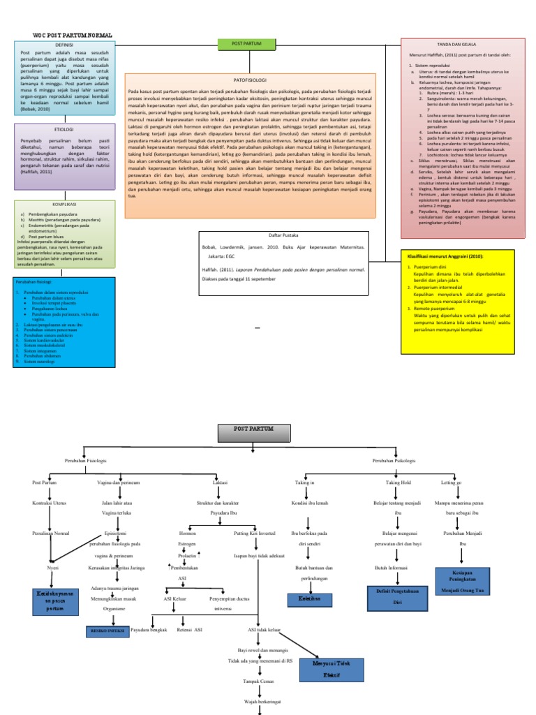 Woc Maternitas Post Partum Normal | PDF
