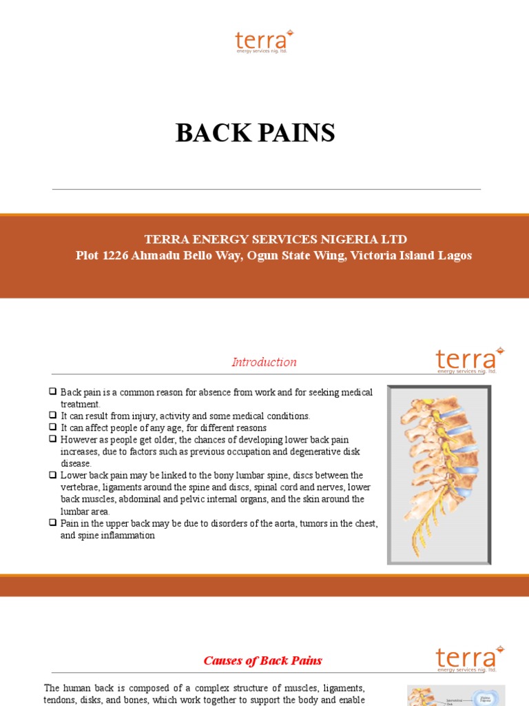 Back Pains | PDF | Back Pain | Spinal Cord