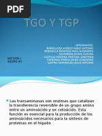 Transaminasas - TGO, TGP y GGT | PDF | Transaminasa | Especialidades Medicas