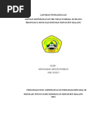 LP & Laporan Kasus Askep Post Partum | PDF