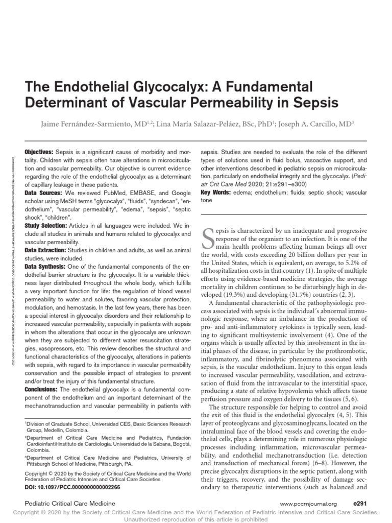The Endothelial Glycocalyx: A Fundamental Determinant of Vascular ...