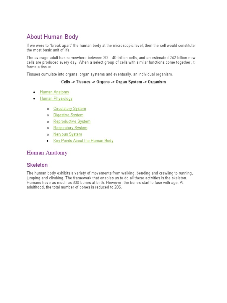 About Human Body | PDF | Human Body | Circulatory System