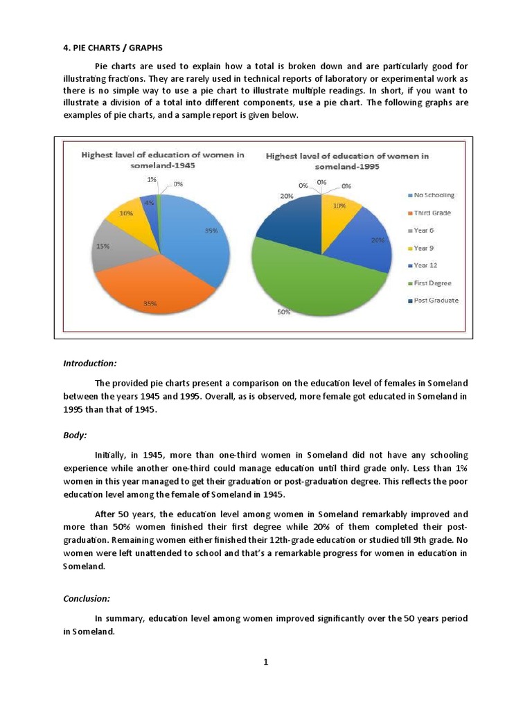 Pie and Bar Chart Analysis Guide | PDF | Pie Chart | Chart