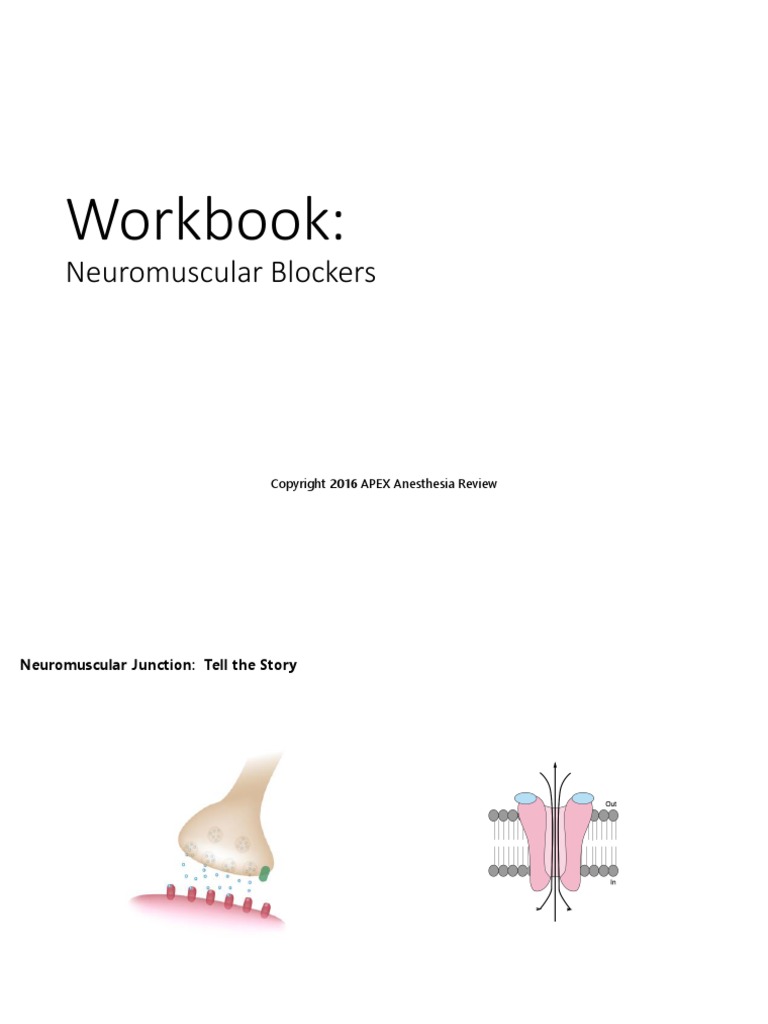 15 Neuromuscular Blockers Workbook | PDF | Neuromuscular Junction ...