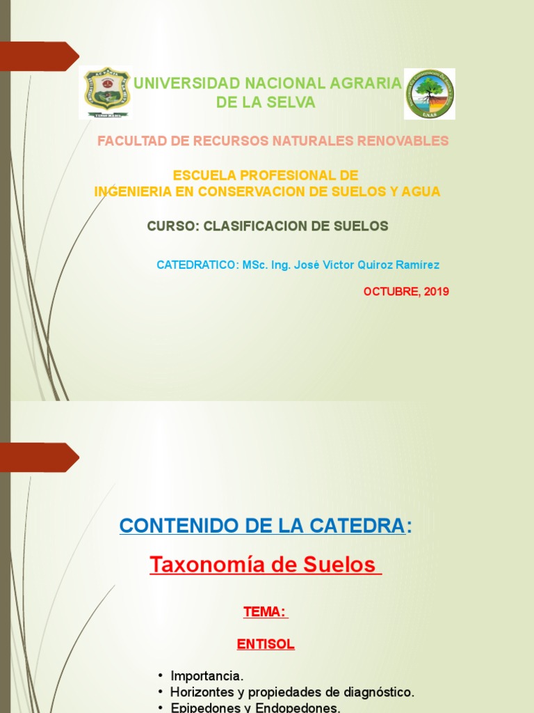 11entisol y Inceptisol | PDF | Suelo | Los bosques