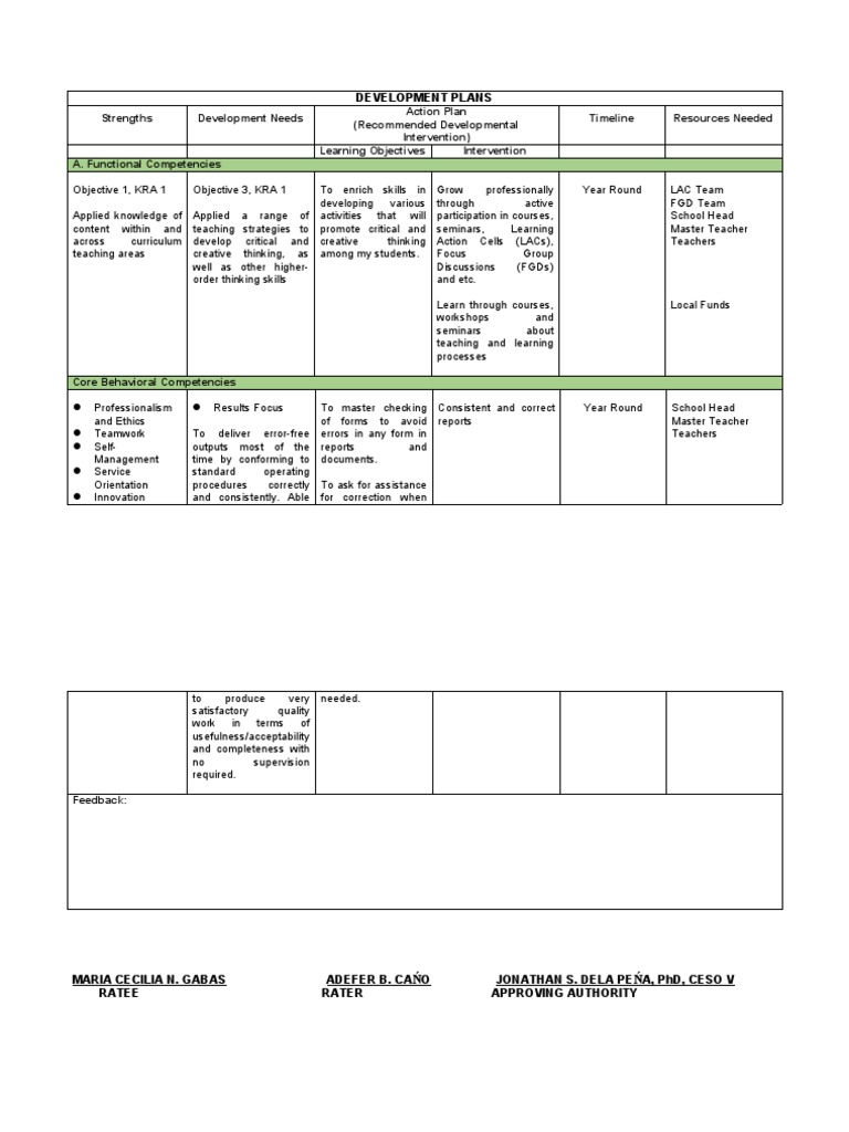 Development Plan for Strengthening Functional and Behavioral ...