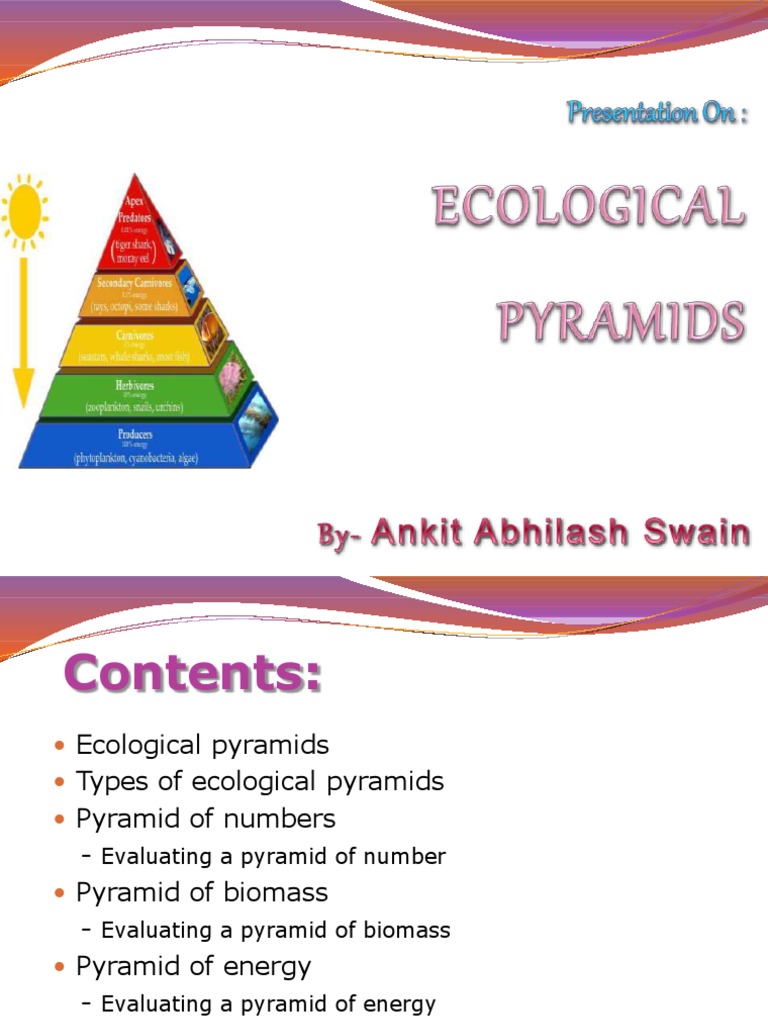 Understanding Ecological Pyramids | PDF | Biomass (Ecology) | Food Web