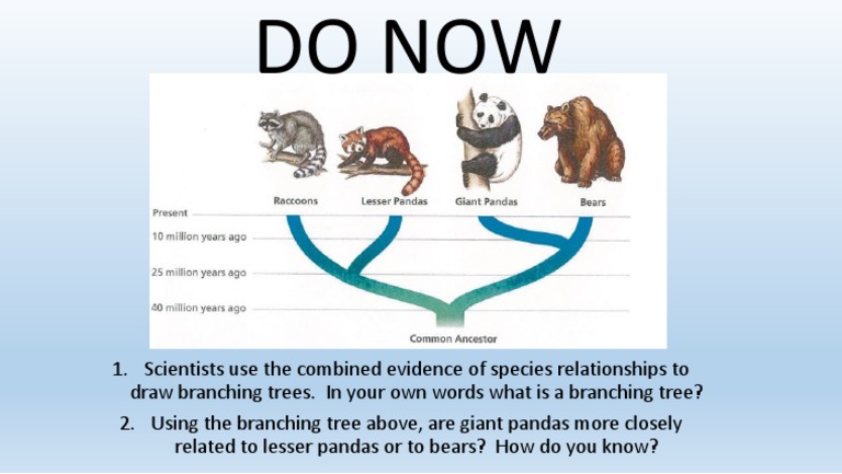 Understanding Branching Trees in Biology | PDF | Wellness | Science ...