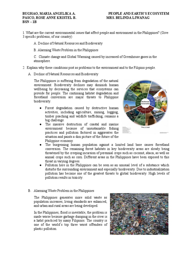 Philippine Environmental Challenges | PDF | Habitat Destruction ...