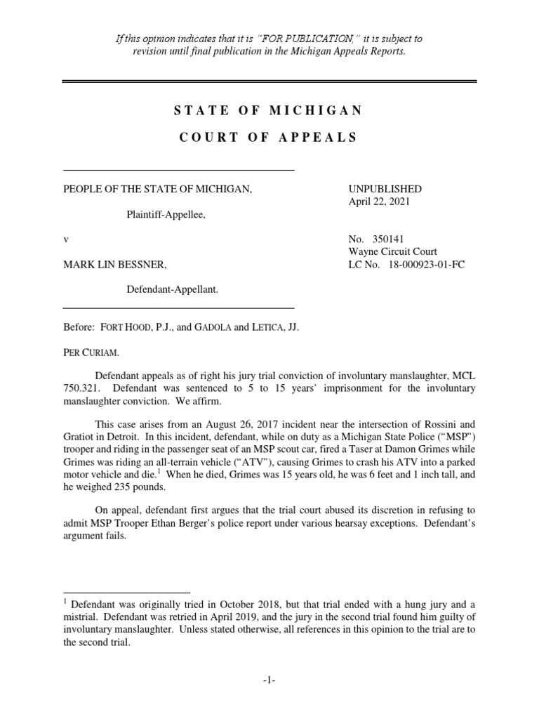 State of Michigan Court of Appeals | PDF | Relevance (Law) | Hearsay