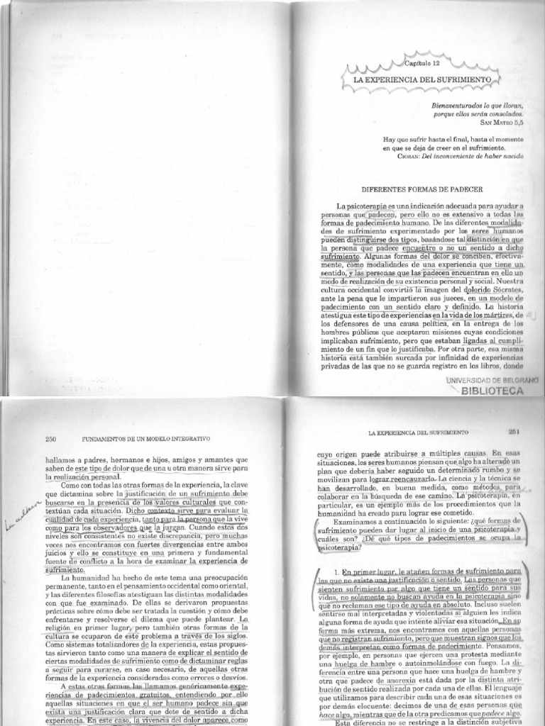 Fundamentos de Un Modelo Integrativo en Psicoterapia | PDF