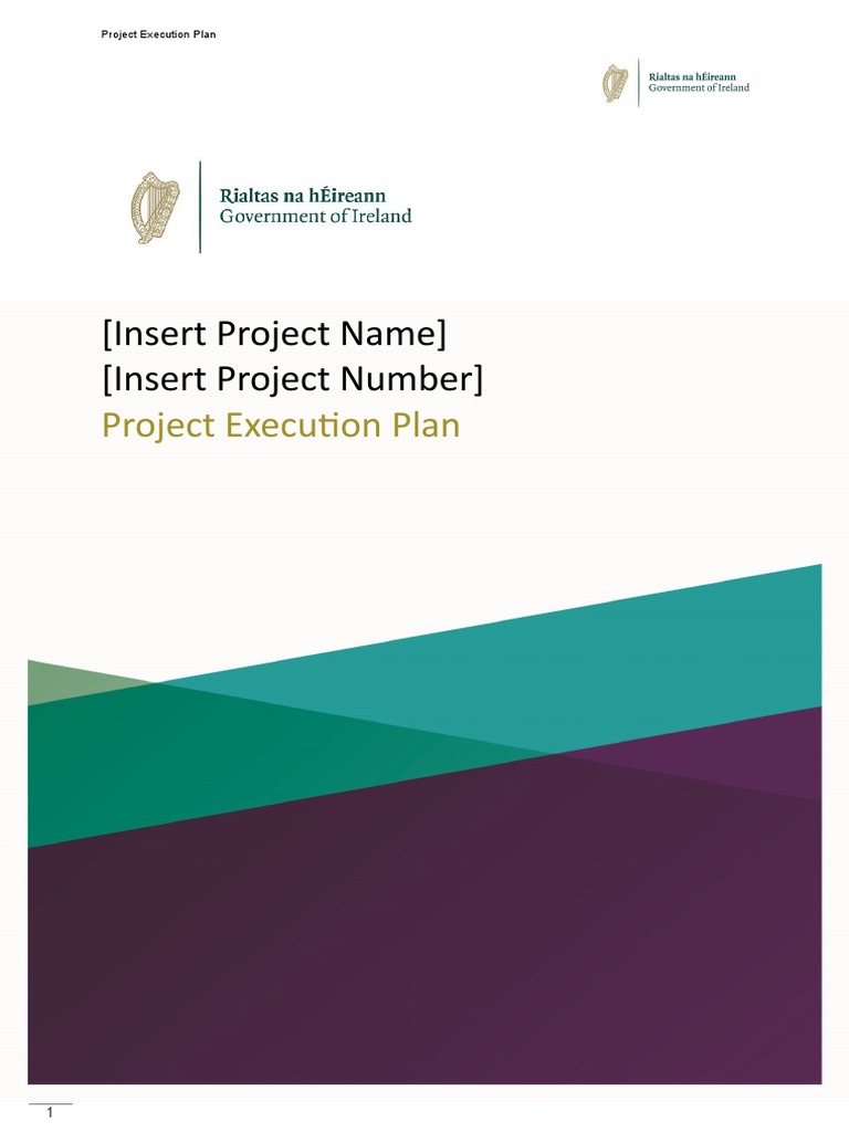 (Insert Project Name) (Insert Project Number) | PDF | Audit | Governance