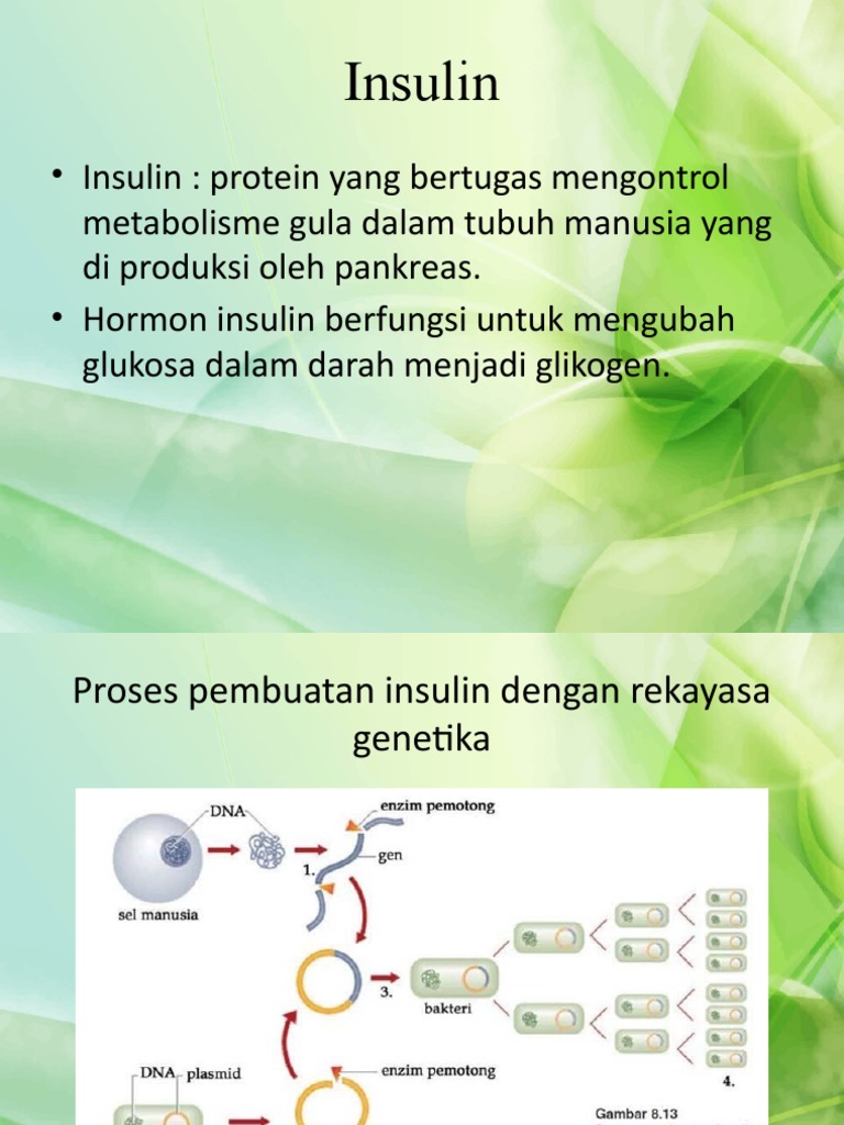 Insulin | PDF | Kesehatan Holistik | Teknologi & Rekayasa