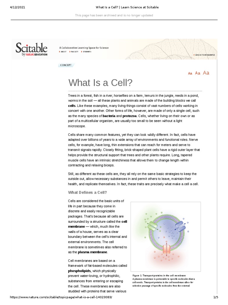 What Is A Cell - Learn Science at Scitable | PDF | Prokaryote | Cell ...
