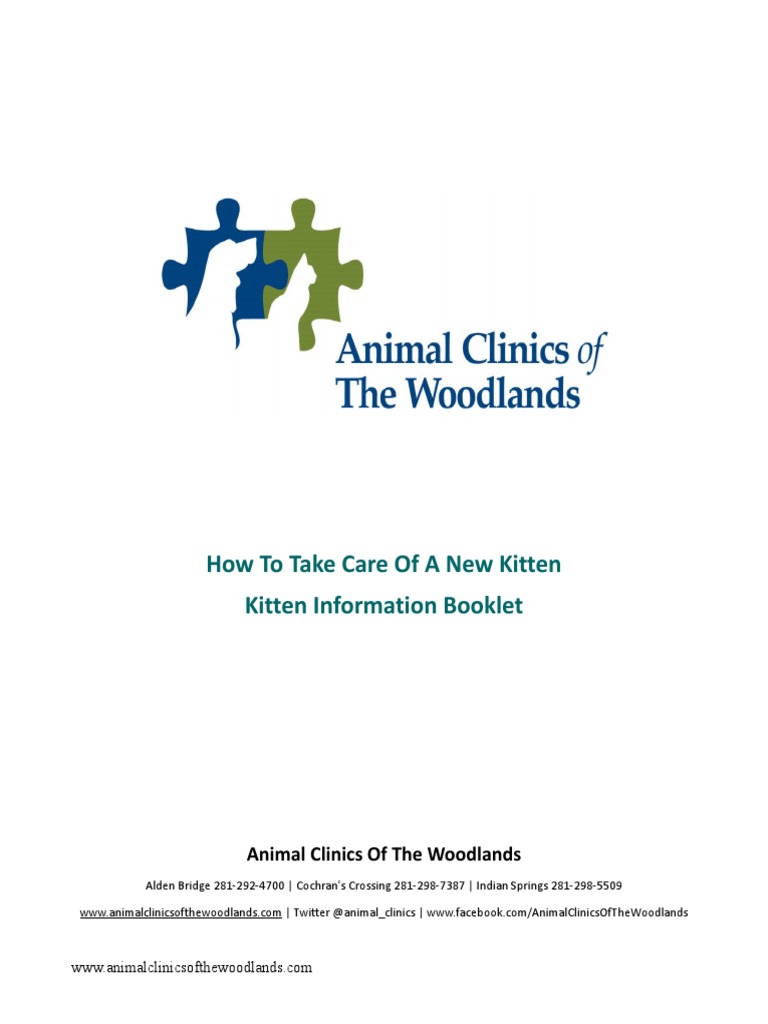 New Kitten Information Booklet | PDF | Clinical Medicine | Medical ...