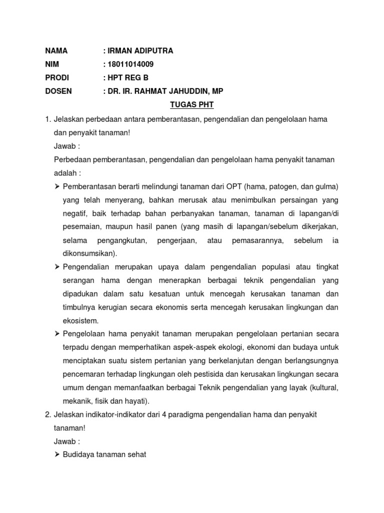 PHT Irman Adiputra | PDF
