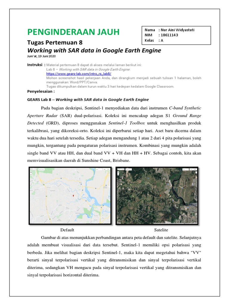 Nur Aini Widyastuti - Tugas Working With SAR Data in Google Earth Engine | PDF