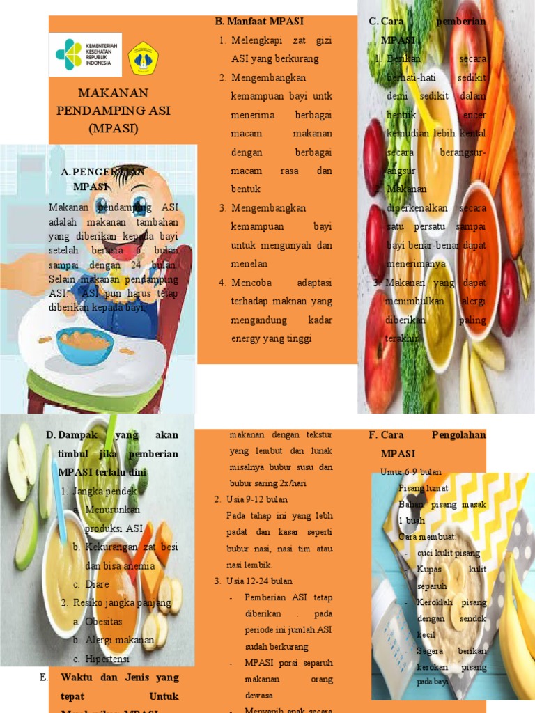 Panduan MPASI untuk Bayi 6-24 Bulan | PDF | Kesehatan Holistik