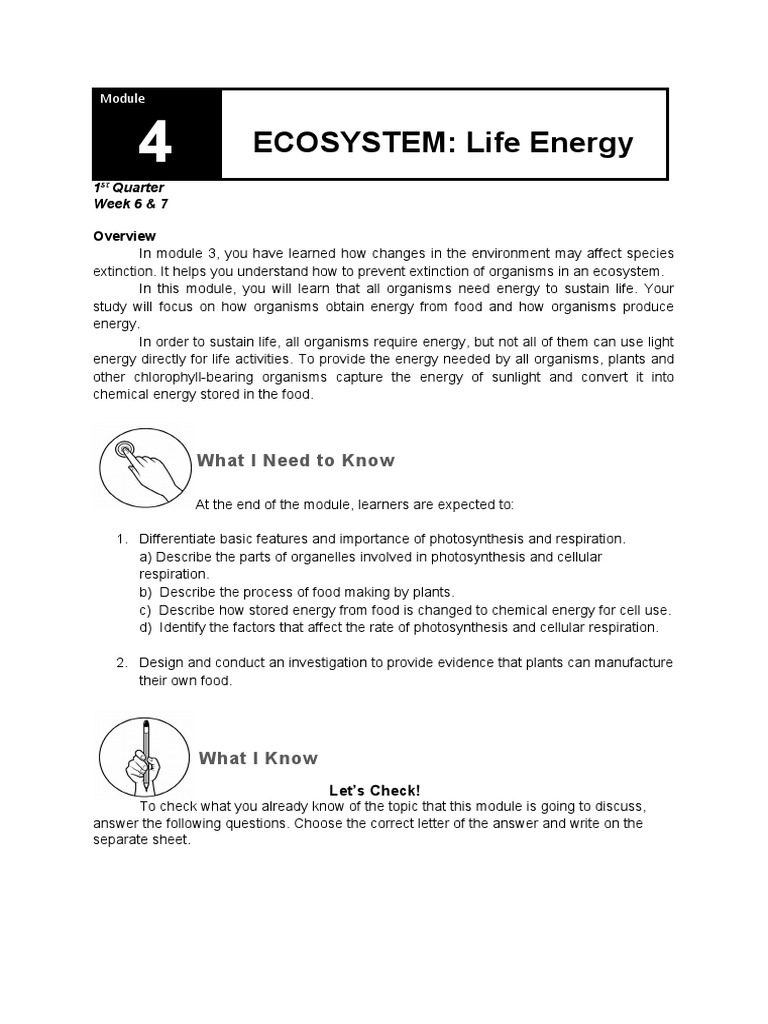 ECOSYSTEM: Life Energy: What I Need To Know | PDF | Photosynthesis ...