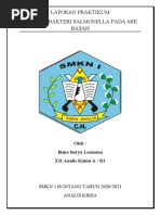 SNI 01 2332 2 2006 Uji Mikrobiologi Salmonella | PDF | Pengembangan ...