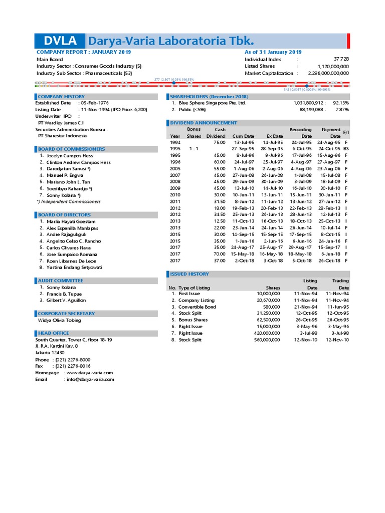 Dvla | PDF | Equity (Finance) | Revenue