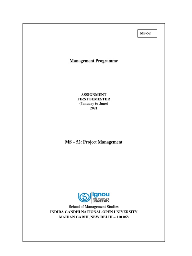 Project Management Assignment | PDF