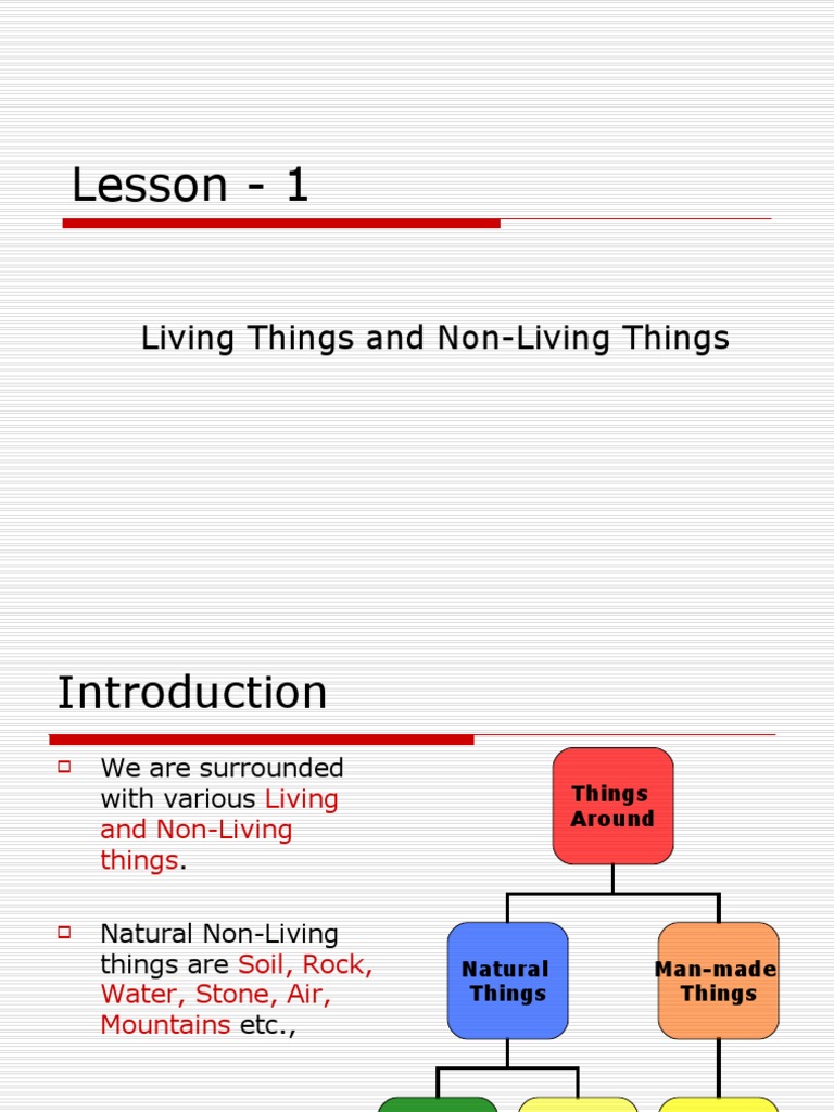 Living vs Non-Living Things Explained | PDF | Plants | Fish