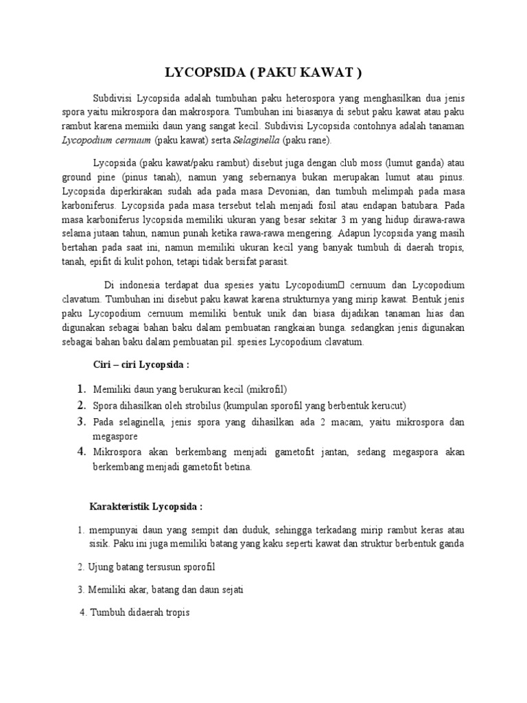 Klasifikasi dan Ciri Lycopsida | PDF | Kajian Bahasa Asing | Griya & Taman