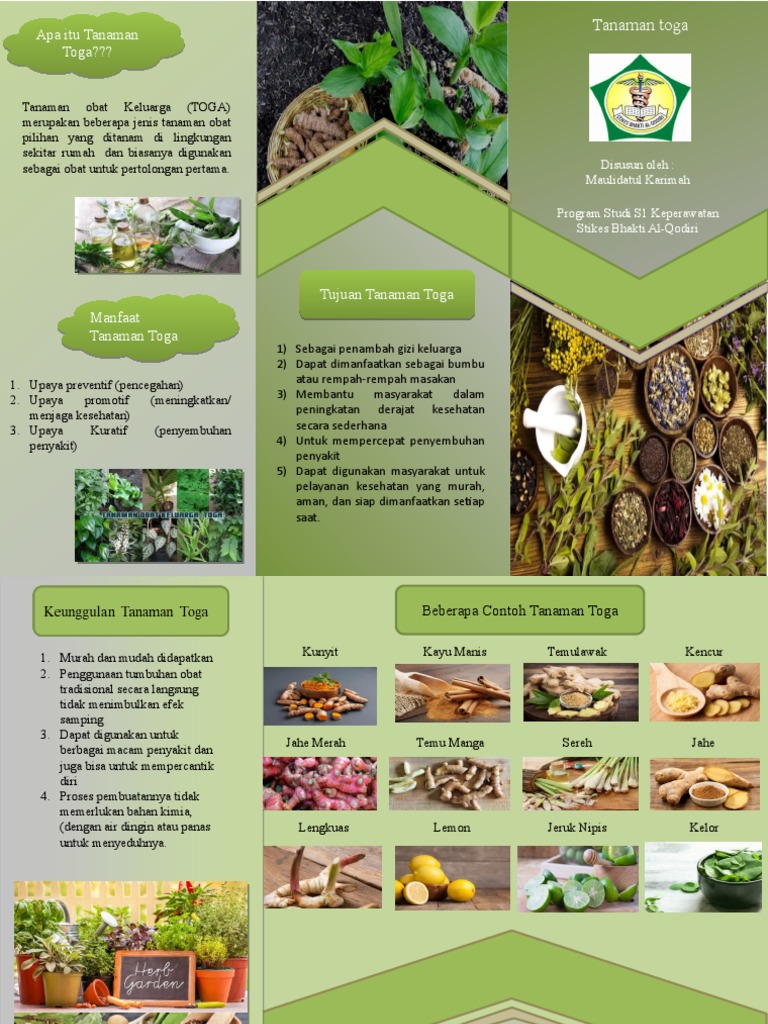 Manfaat dan Contoh Tanaman Toga | PDF