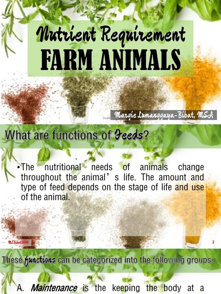 Nutrient Requirement of Farm Animals | PDF | Legume | Dietary Fiber