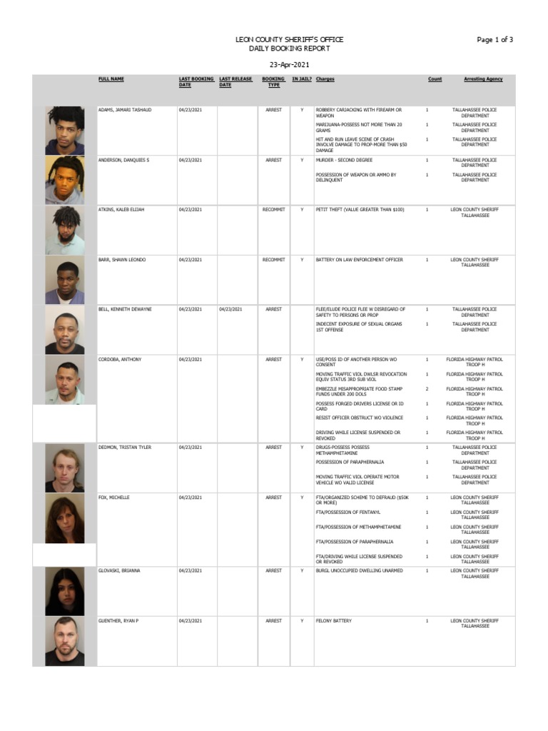 Leon County Booking Report: April 24, 2021 | PDF | Theft | Police