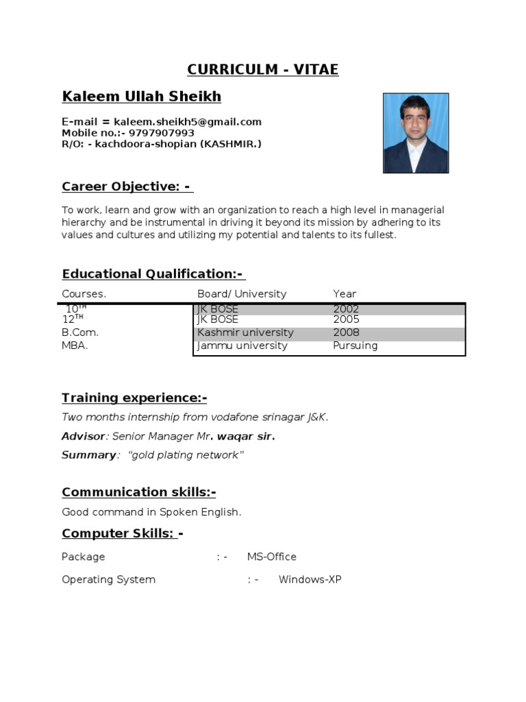 Kaleem Ullah Sheikh's CV Summary | PDF