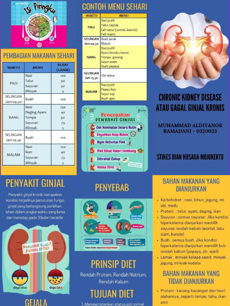 Leaflet Fix CKD | PDF