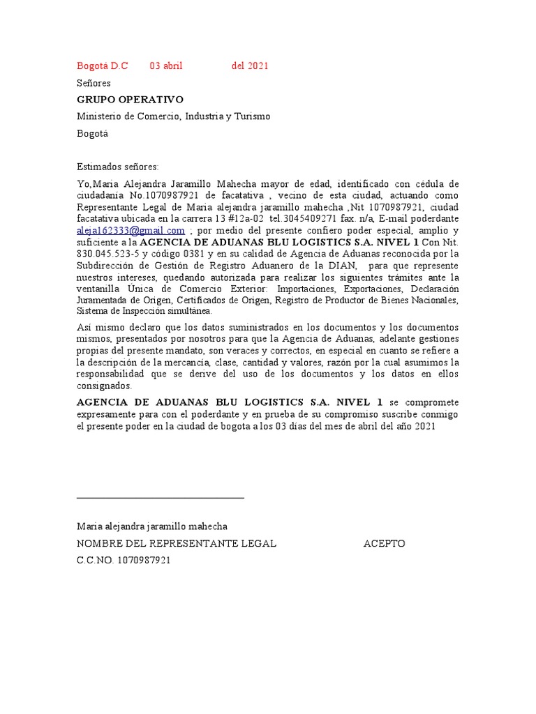 Formato Poder Vuce 1 | PDF