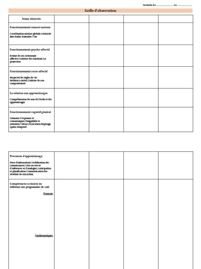 Grille D Observation | PDF | Sciences et mathématiques