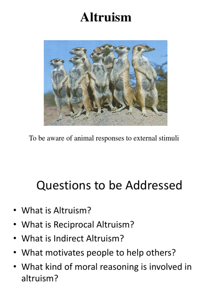 Altruism: To Be Aware of Animal Responses To External Stimuli ...