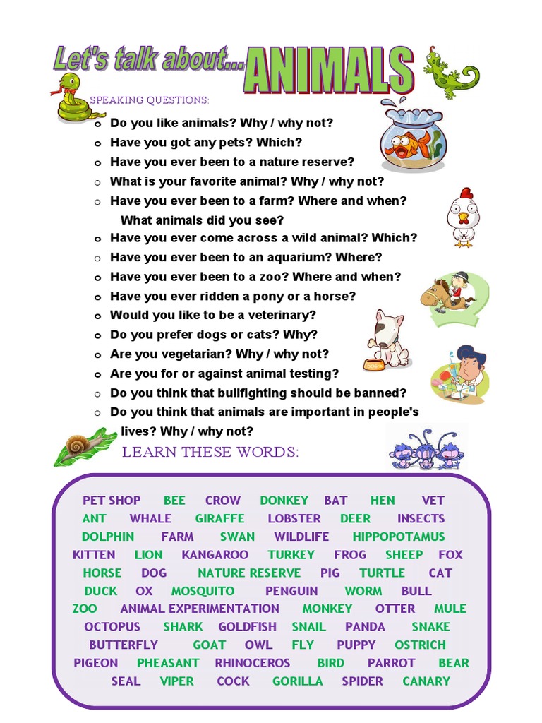 Let's Talk About - Animals | PDF